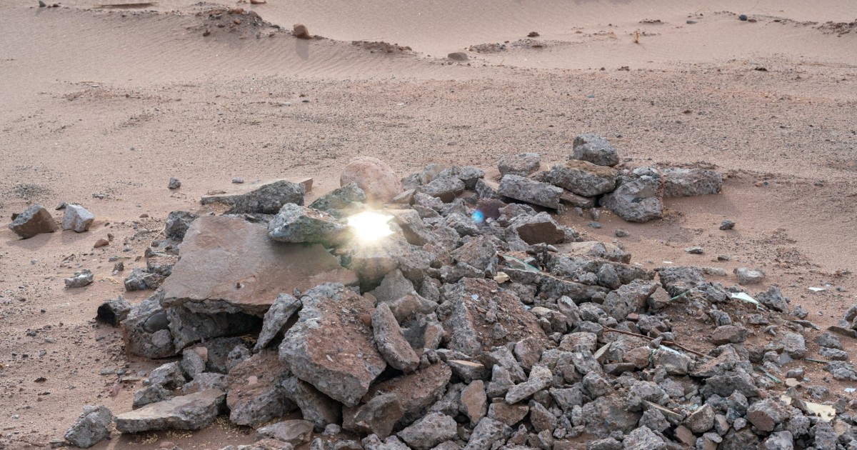 Dry / Dried – Timm Roller