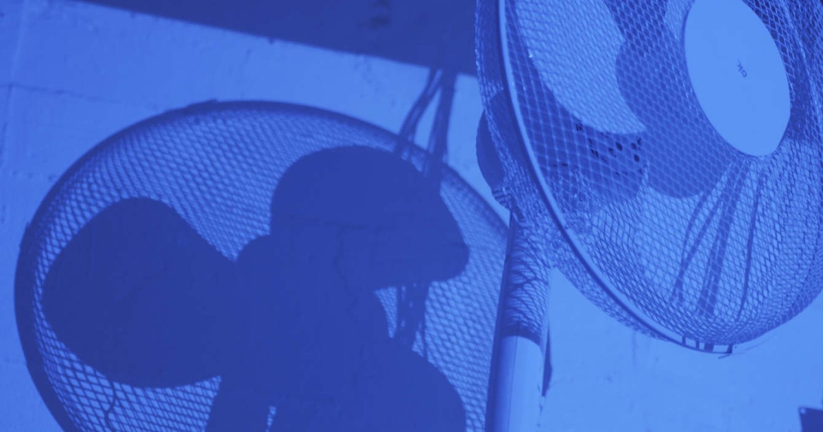 Das Spiel nähert sich dem bloßen Weben – Timm Roller